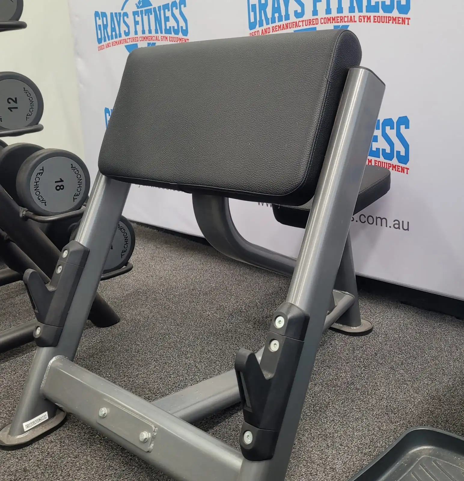 Generic Preacher Curl Bench | Grays Fitness