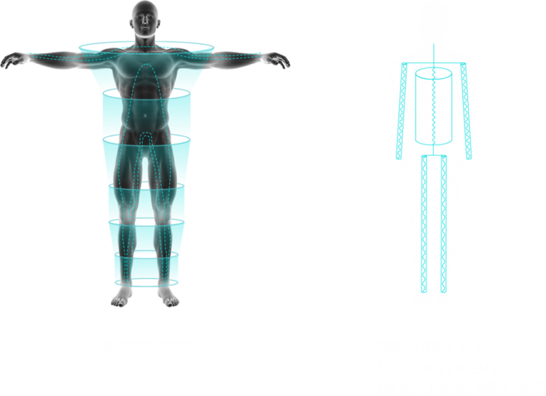 Evolt 360 Body Composition Scanner | Grays Fitness